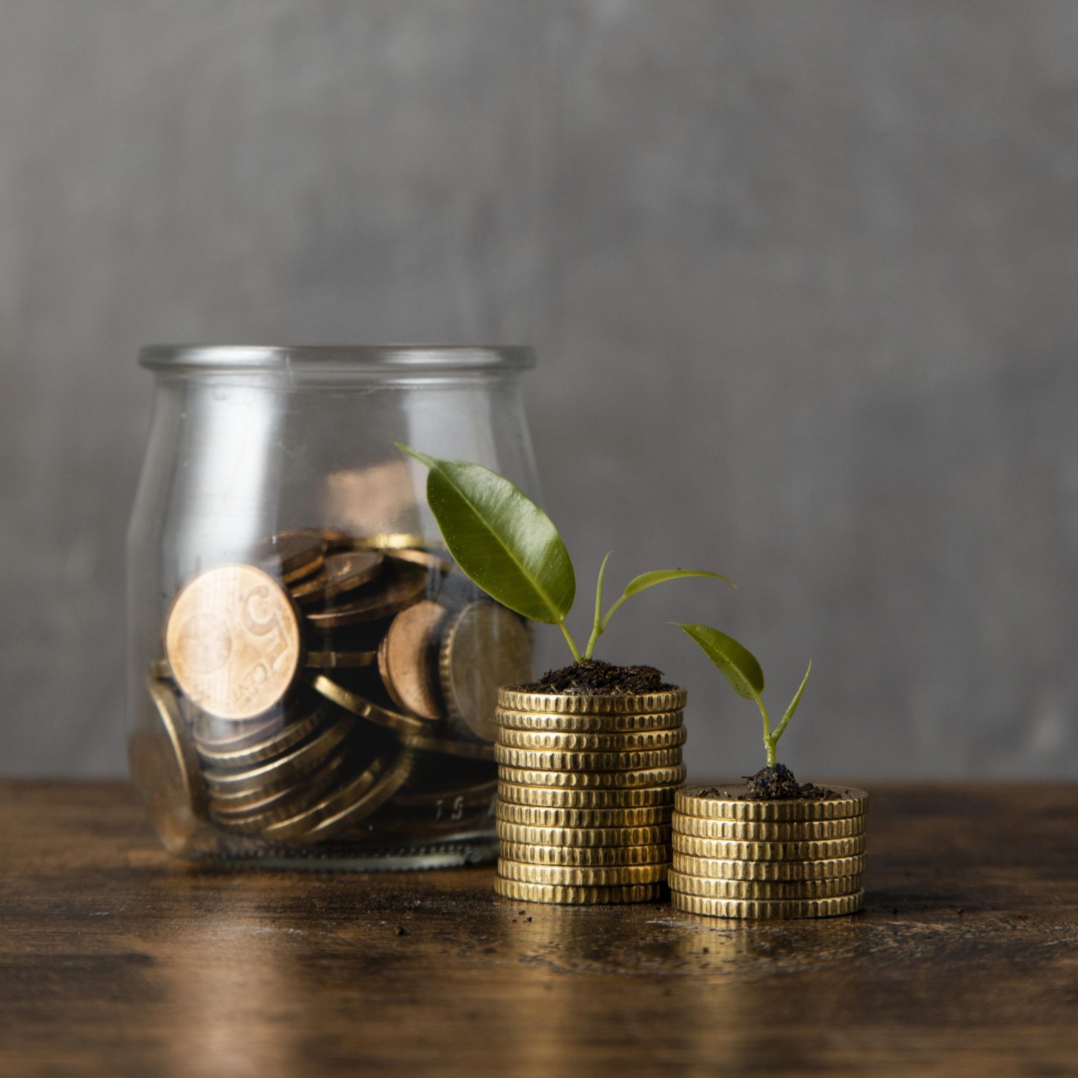 Mutual Funds – Growmore Financial Services
